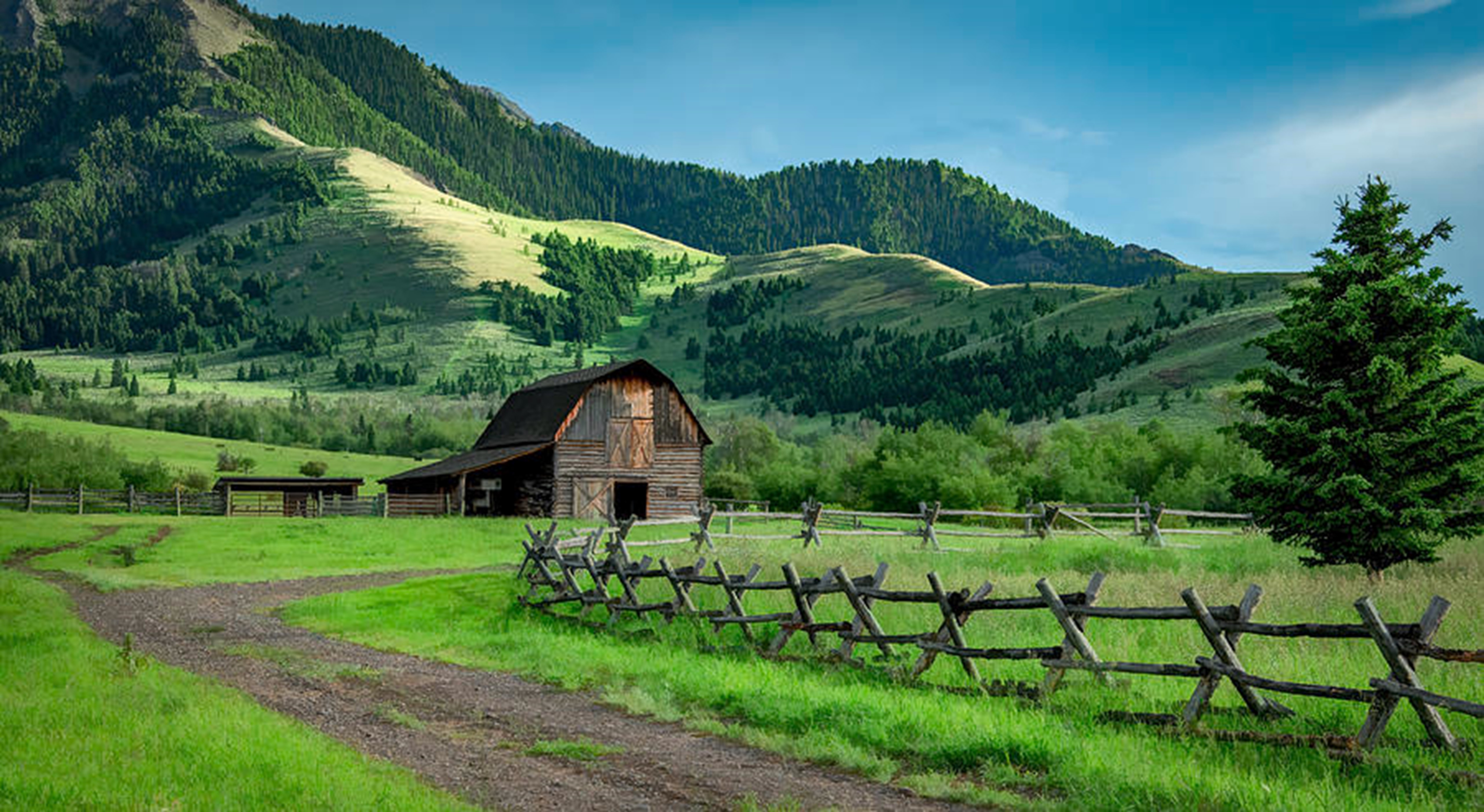 Initiative 5: Revitalizing Rural Montana Initiative | Powell County, MT